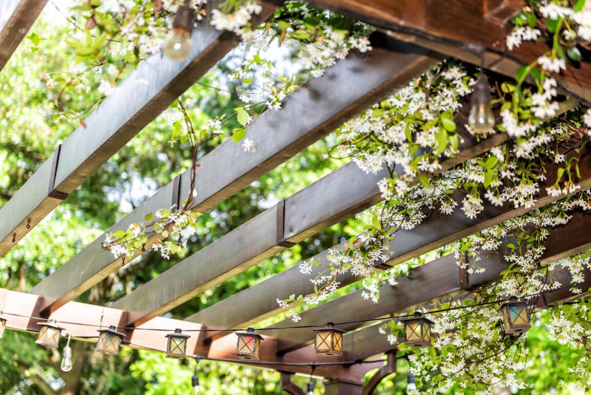 Printemps : 8 inspirations de pergolas fleuries